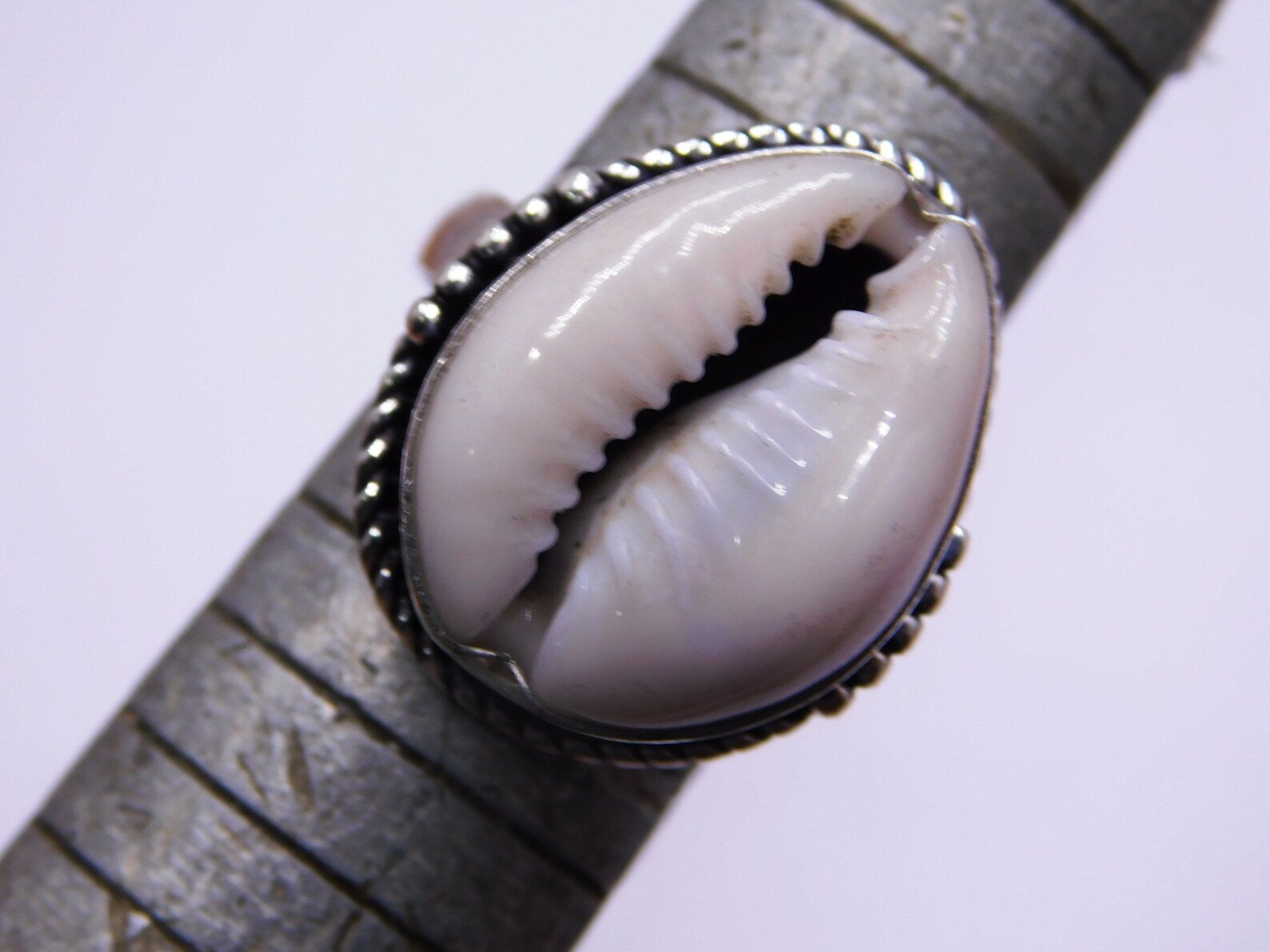 Natural Cowrie Ring Cowrie Jewelry Cowrie Shell Ring - Etsy