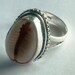 Natural Cowrie Ring Cowrie Jewelry Cowrie Shell Ring 925 - Etsy