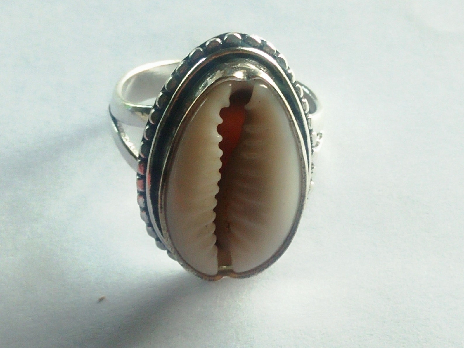 Natural Cowrie Ring Cowrie Jewelry Cowrie Shell Ring 925 - Etsy