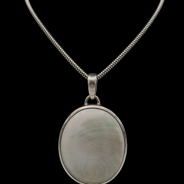 Operculum Shell - Etsy UK