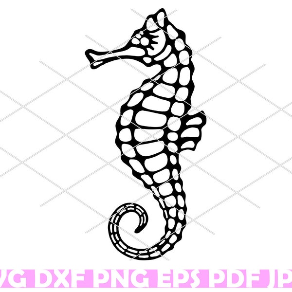 Seahorse Svg - Etsy