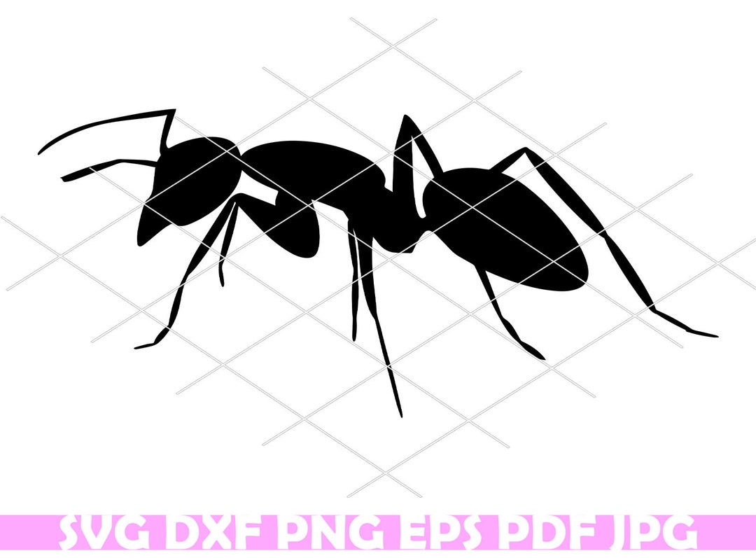 Ant Svg, Ant Dxf Clipart, Ant Iron on Svg, Ant Download, Ant Clipart ...