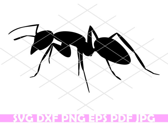 Ant Svg Ant Dxf Clipart Ant Iron on Svg Ant Download Ant - Etsy Singapore
