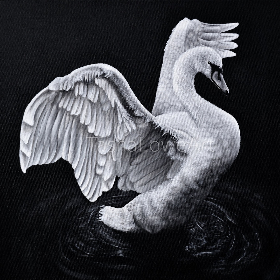Swan Print 8x8 11x11 Original Artwork by Tasha Lowe - Etsy