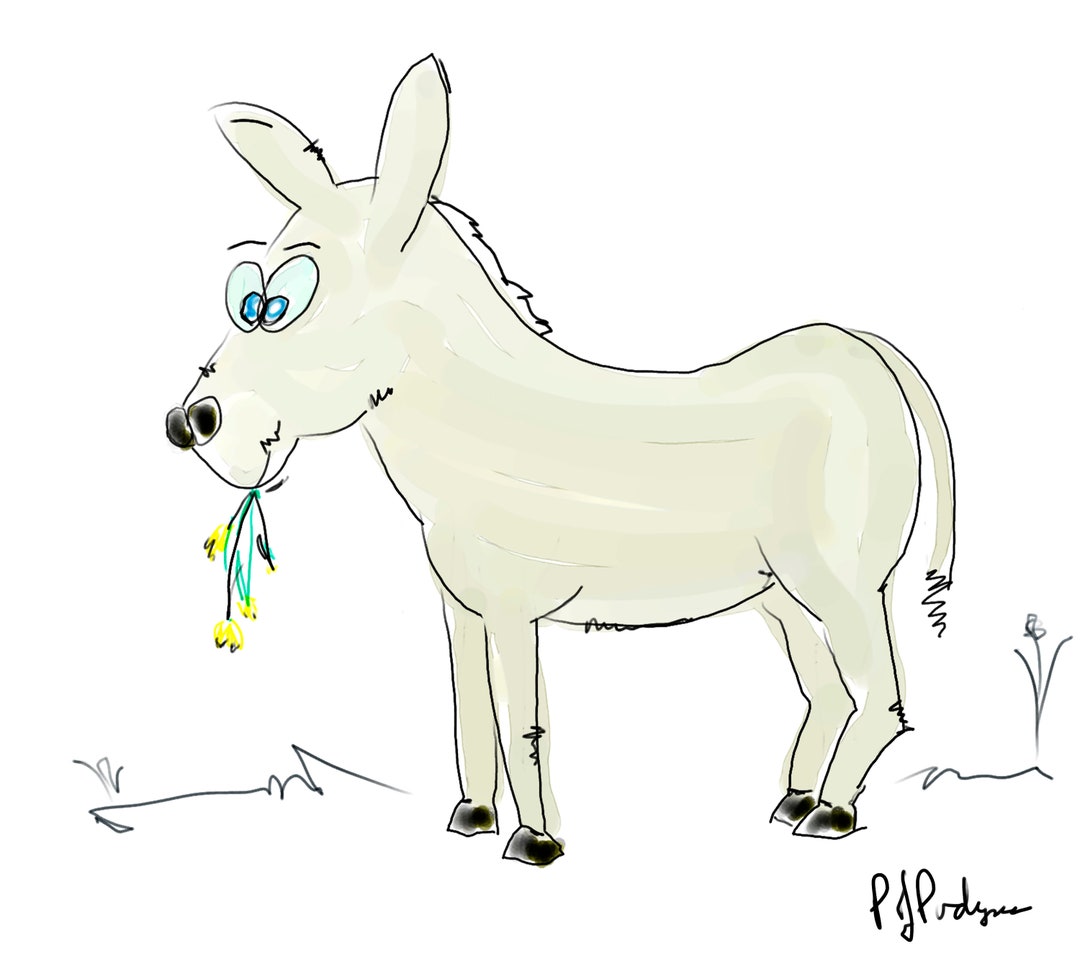 Happy Donkey - Etsy