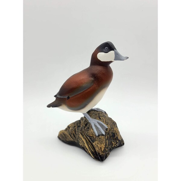 Ruddy Duck - Etsy