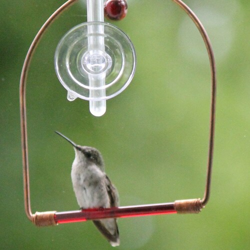 Copper Hummingbird Swing or Hummingbird Perch W/hook Bird | Etsy