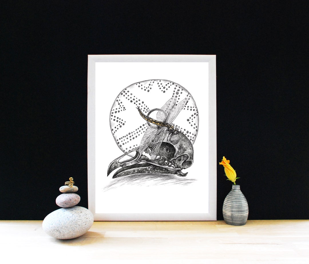 Dragonfly Art Print, Bird Skull, Raven Skull, Raven, Halloween, Skull ...