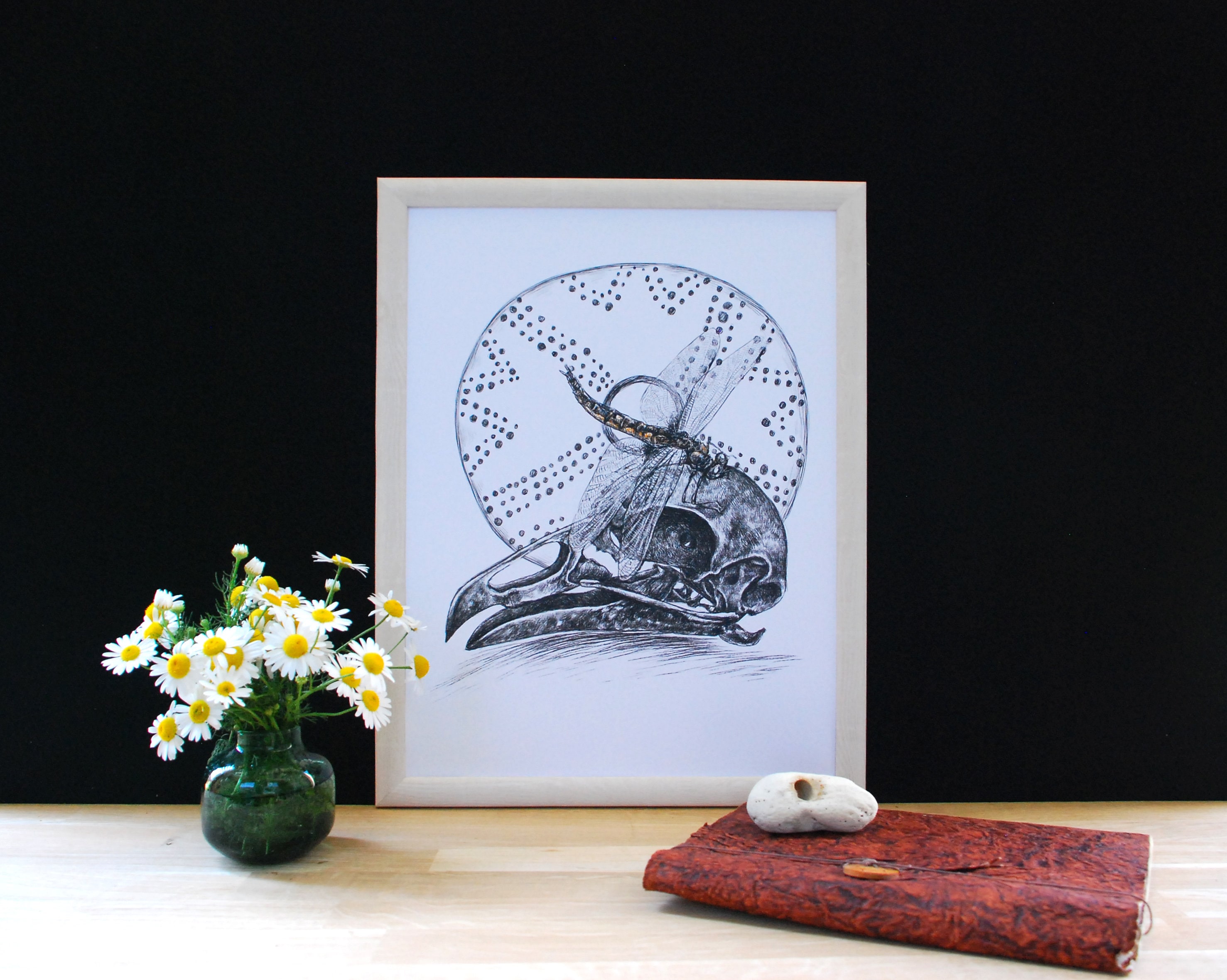 Dragonfly art print bird skull raven skull raven | Etsy