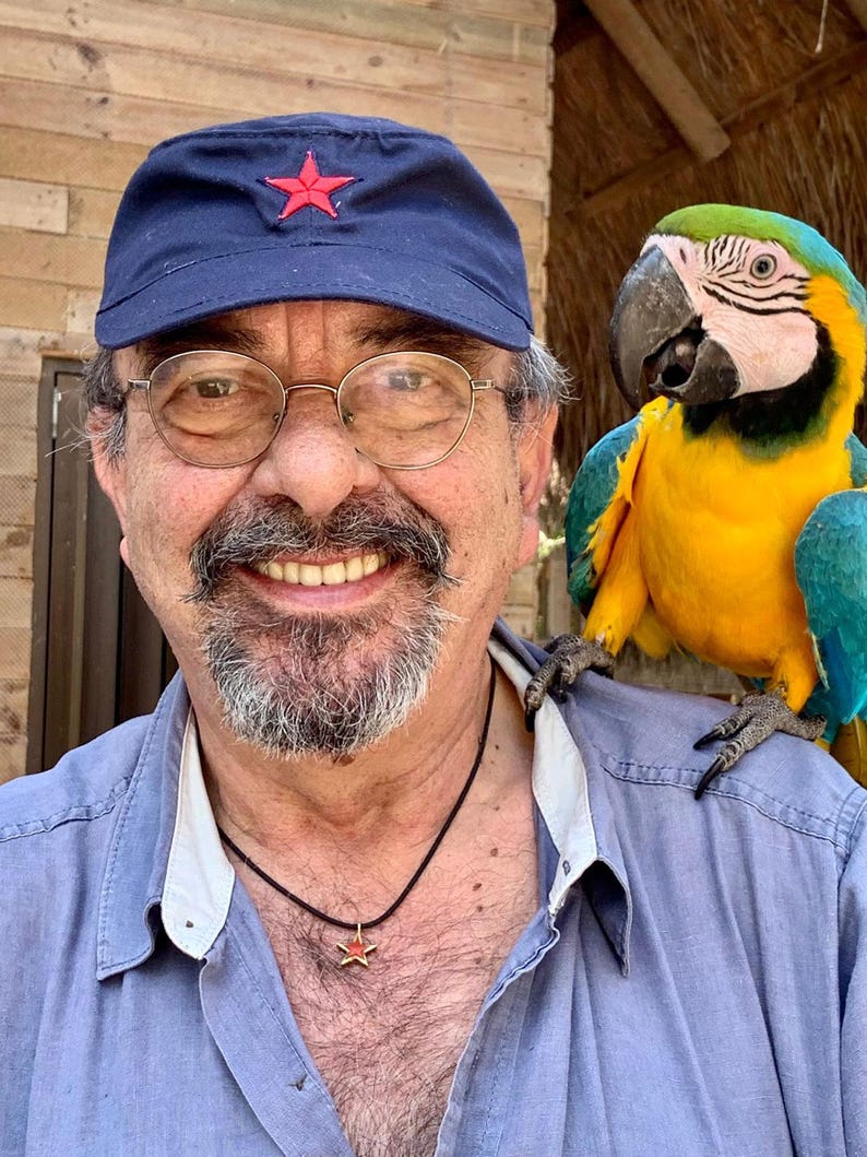 October 18, 2025, Gaza, "eternal Peace" Plan - War, Peace, Palestine — Il Fatto Quotidiano - Etsy