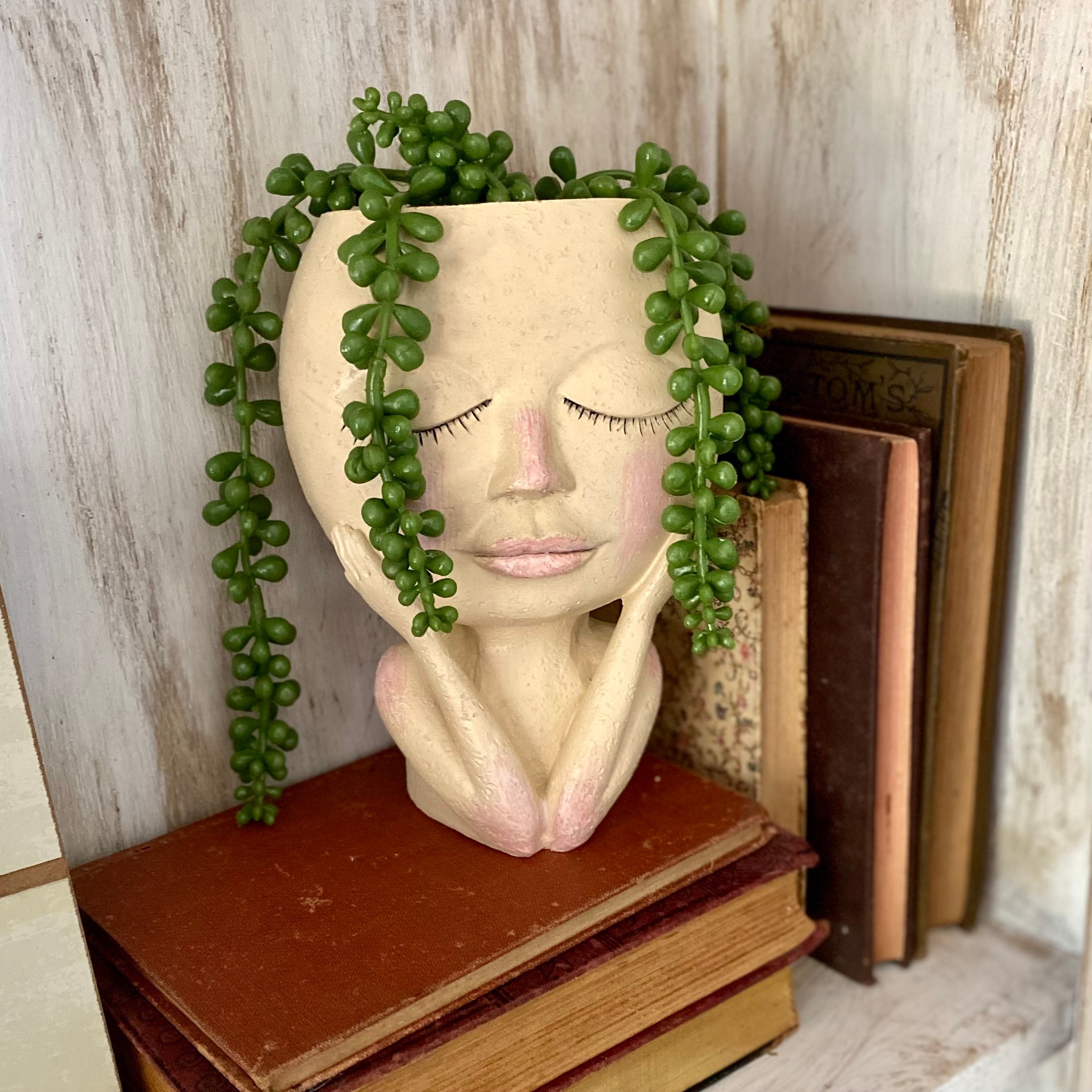 Vase Succulent Lady Face Head Planter Whimsical - Etsy