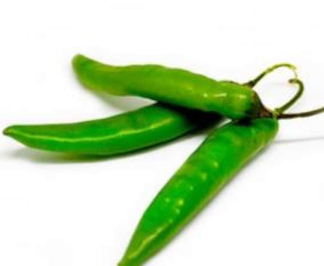 매운고추 (청양) Spicy Korean Pepper Seeds(15) - Etsy