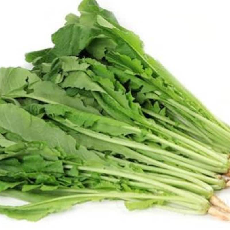 Radish Seeds Korean - Etsy