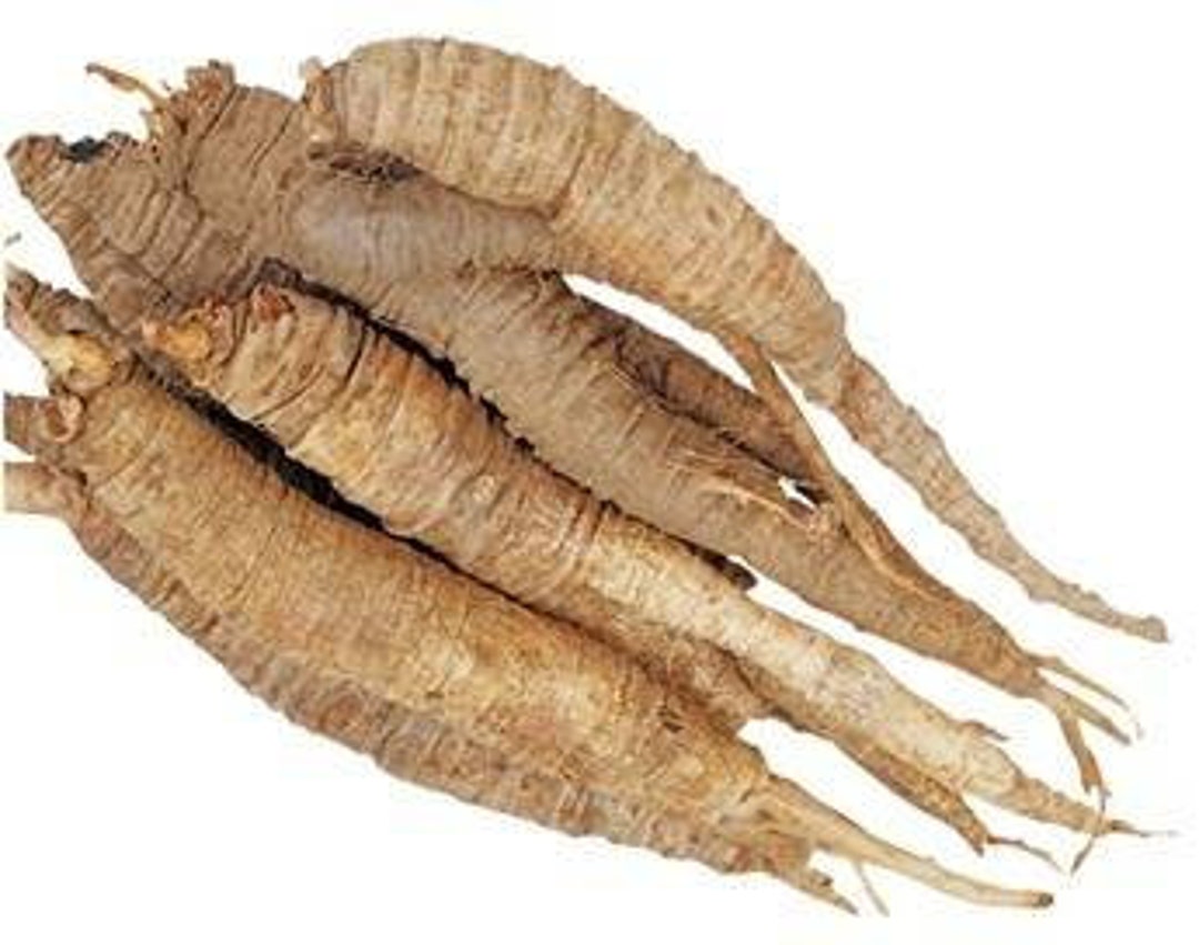 더덕 Seeds (30+) Deodeok, Aka Codonopsis Lanceolata or Lanse Asiabell ...