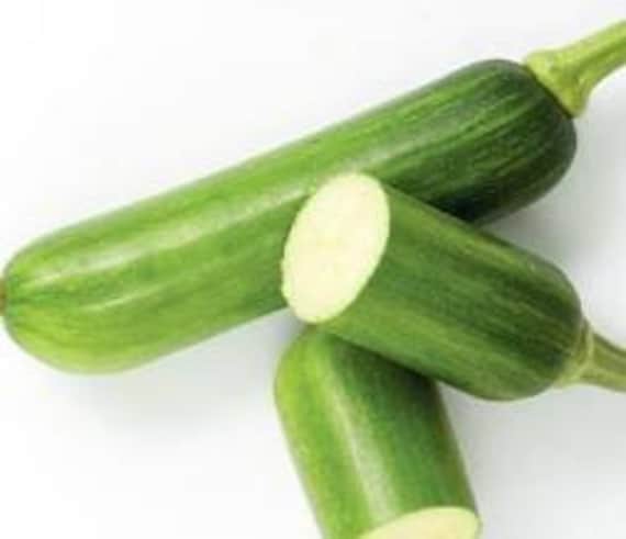애호박 Seeds5 Korean Zucchini Seeds 5 Aehobak - Etsy