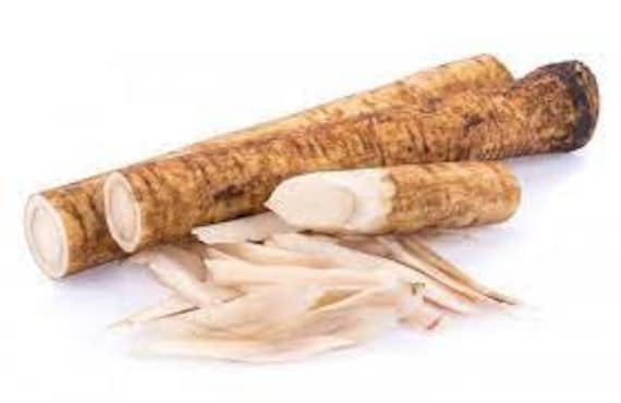 우엉 Gobo Seeds 30 - Etsy