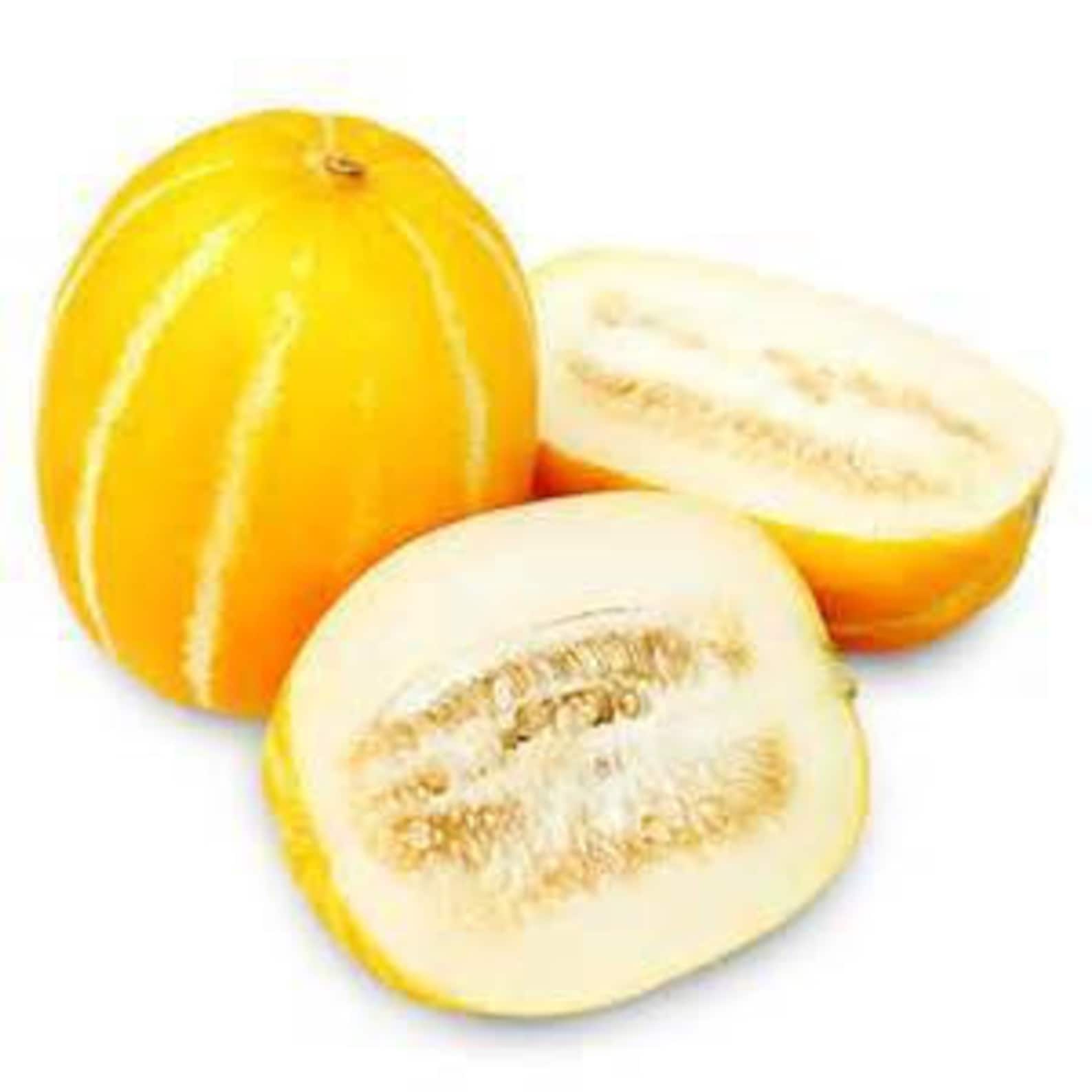 참외 Seeds (10) Korean Melon 'chamoe' - Etsy