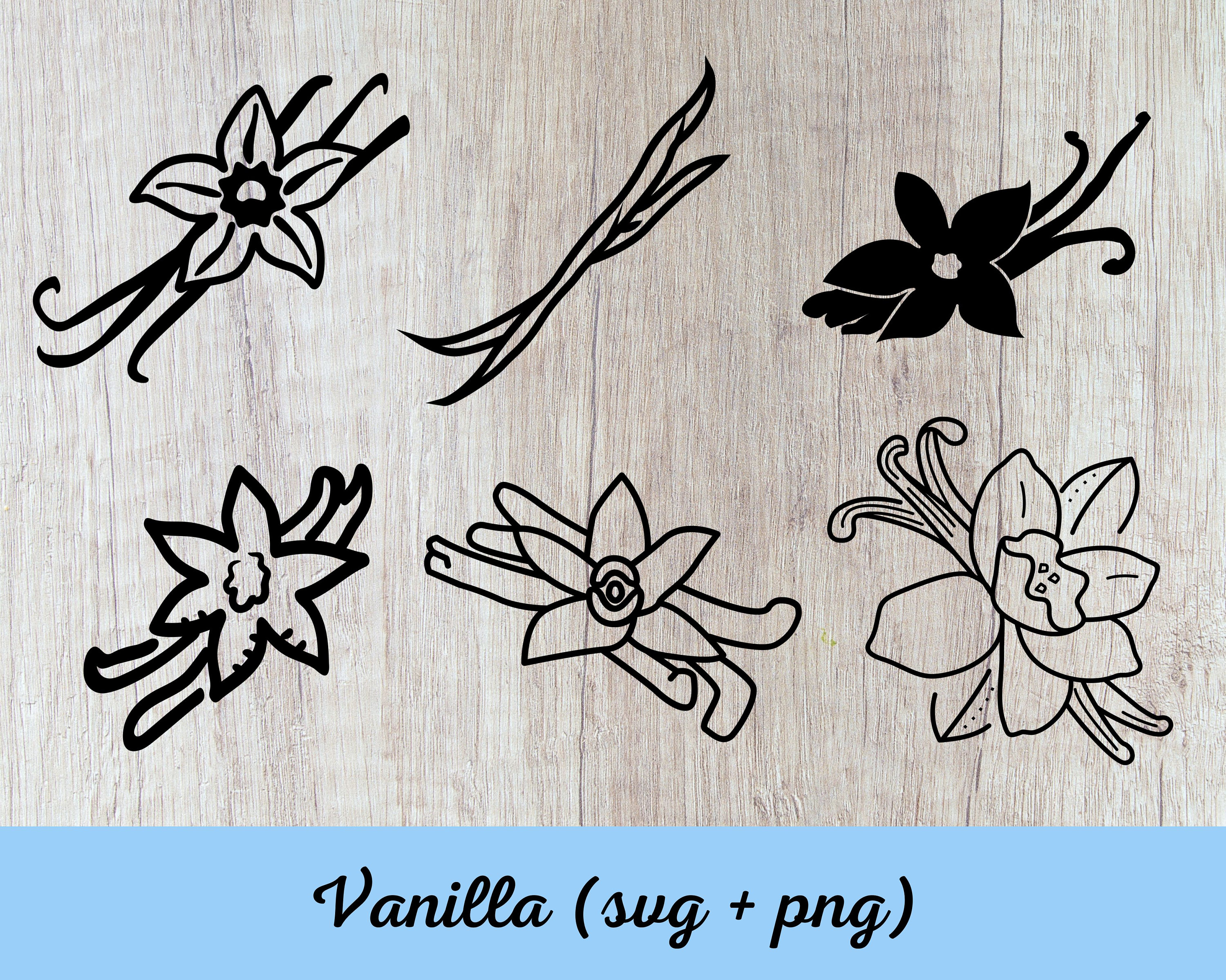 Vanilla SVG, Vanilla Flower, Vanilla Pods, PNG - Etsy