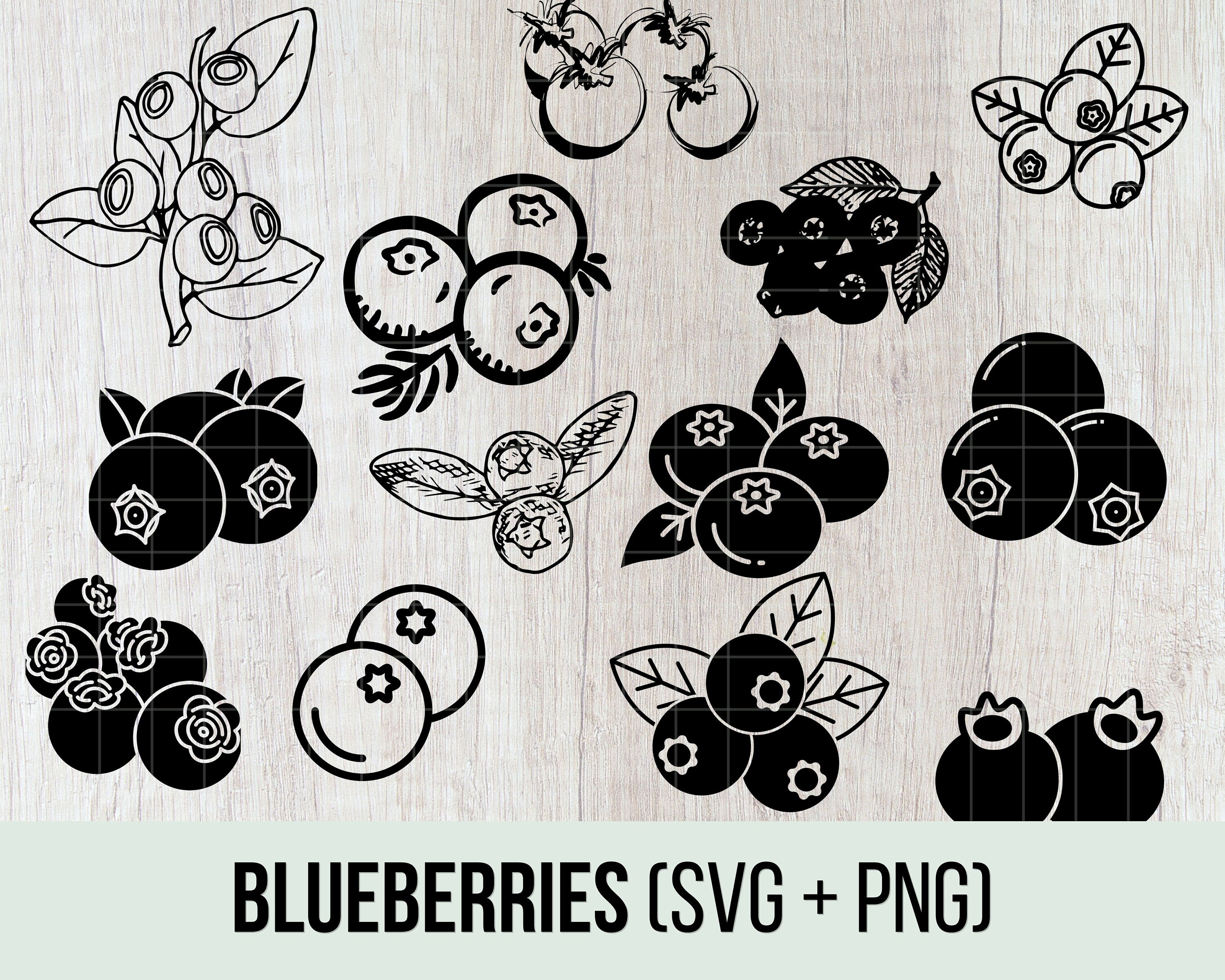 Blueberries Vector Clipart Blueberry Svg Berry Svg - Etsy