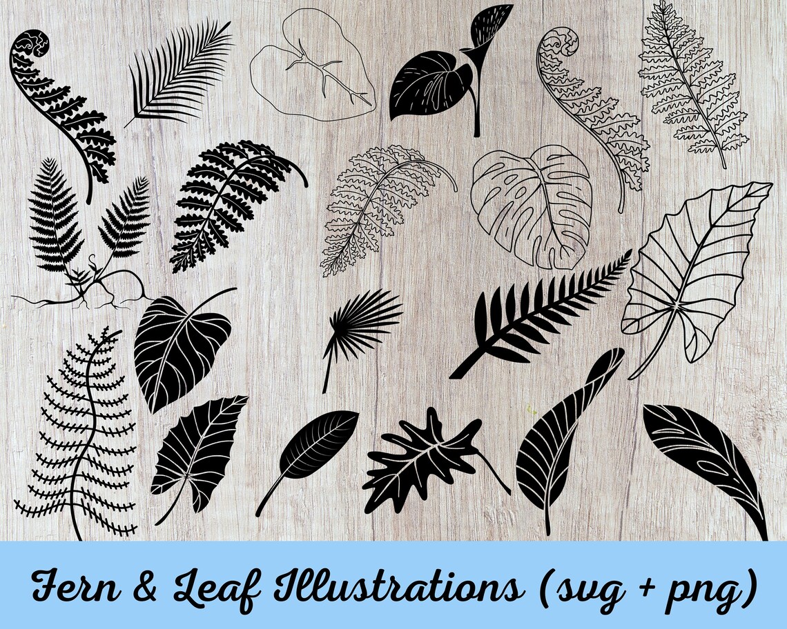 Fern SVG Bundle, Tropical Leaves SVG, Ferns Svg, Png, Silhouette, Cut ...