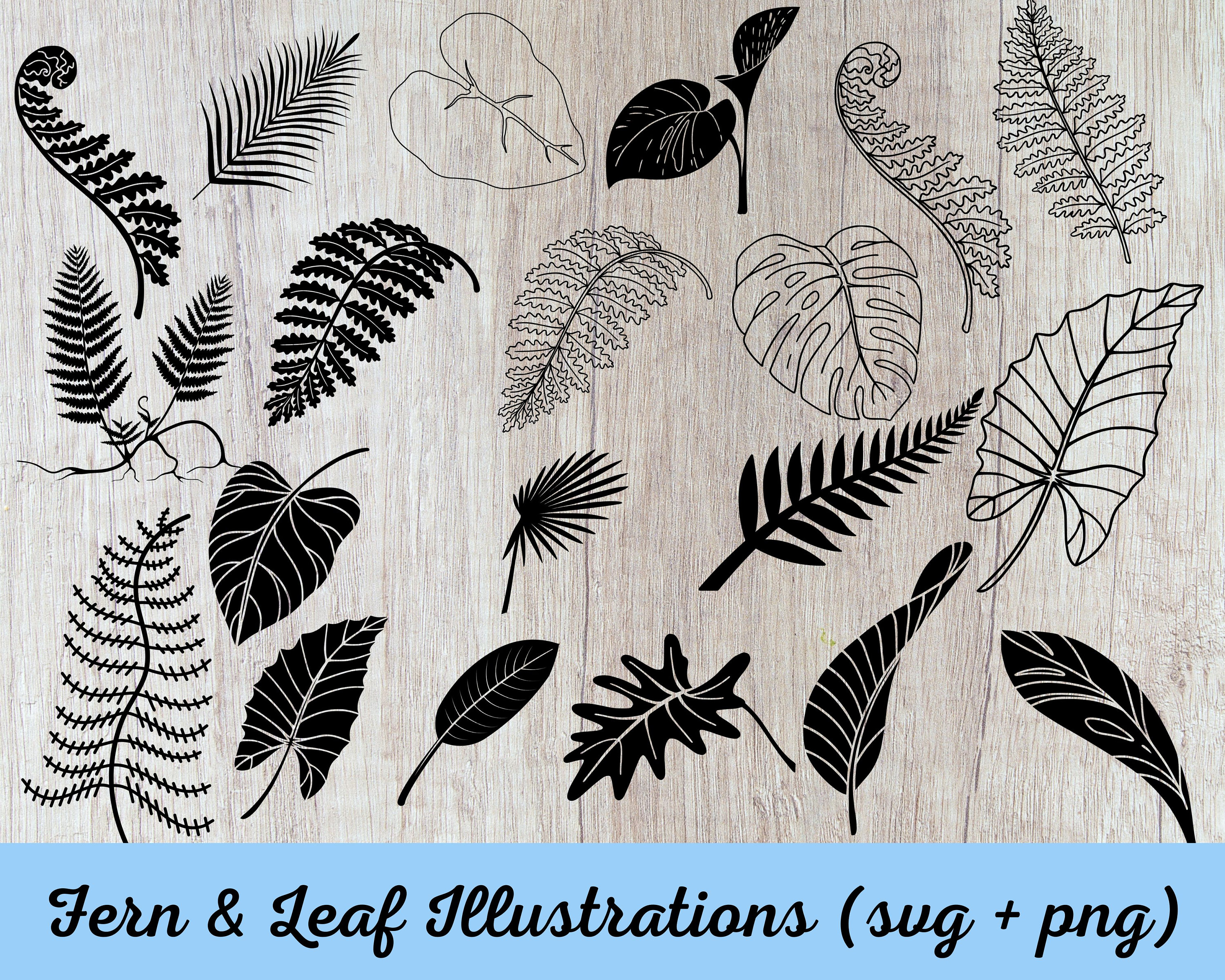 Fern SVG Bundle, Tropical Leaves SVG, Ferns Svg, Png, Silhouette, Cut ...
