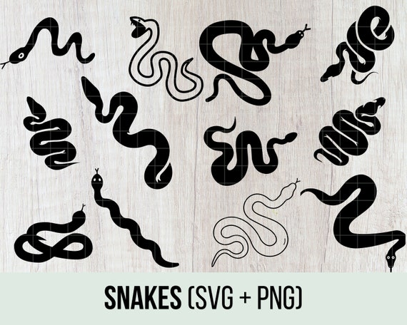 Snakes SVG Bundle Snake SVG Snake Bundle Circut Cut File - Etsy