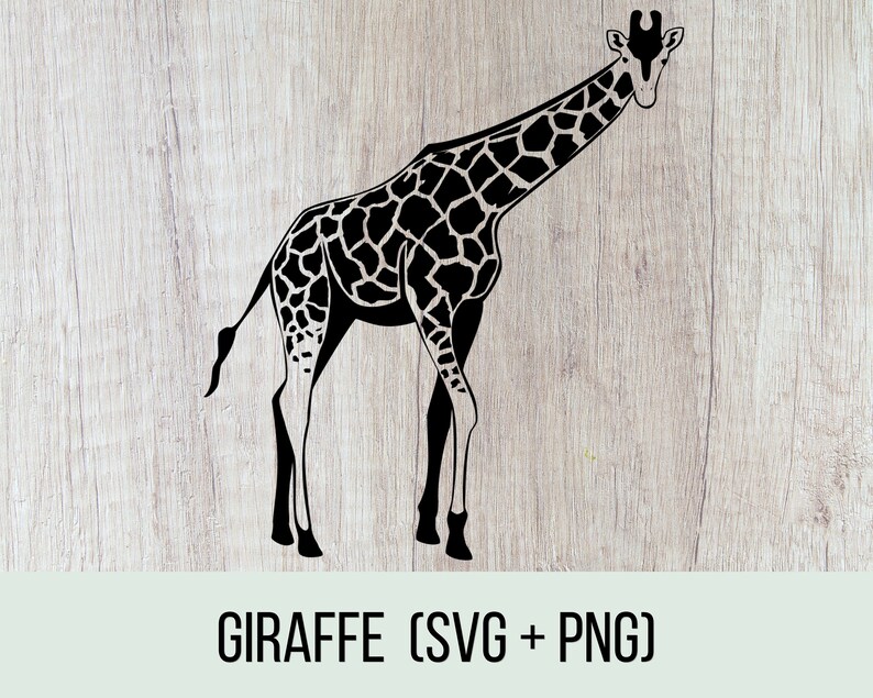 Jirafa SVG, animales africanos svg, clipart, archivo de corte, silueta ...