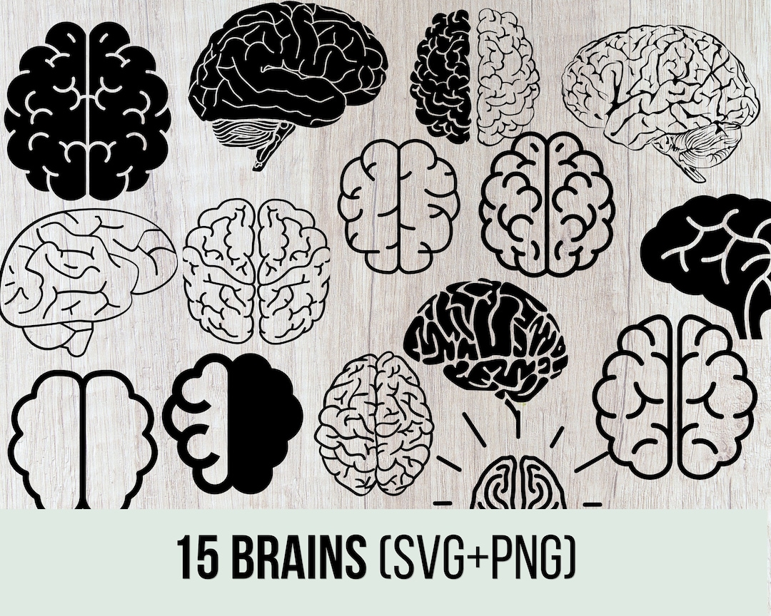 Brain Svg Human Brain Svg Clipart Decal Stencil Vinyl - Etsy Norway