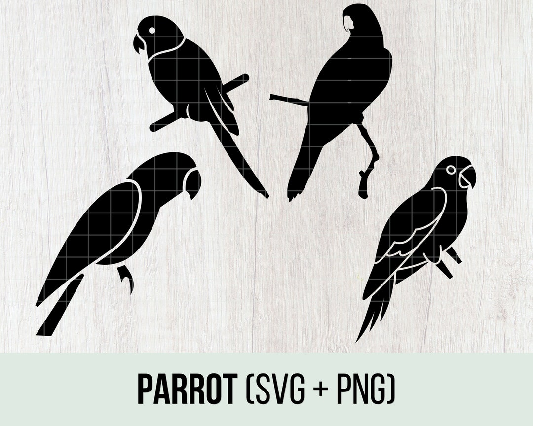 Parrot SVG, Parrot Bird PNG - Etsy
