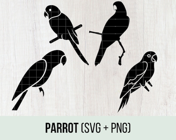 Parrot SVG Parrot Bird PNG - Etsy