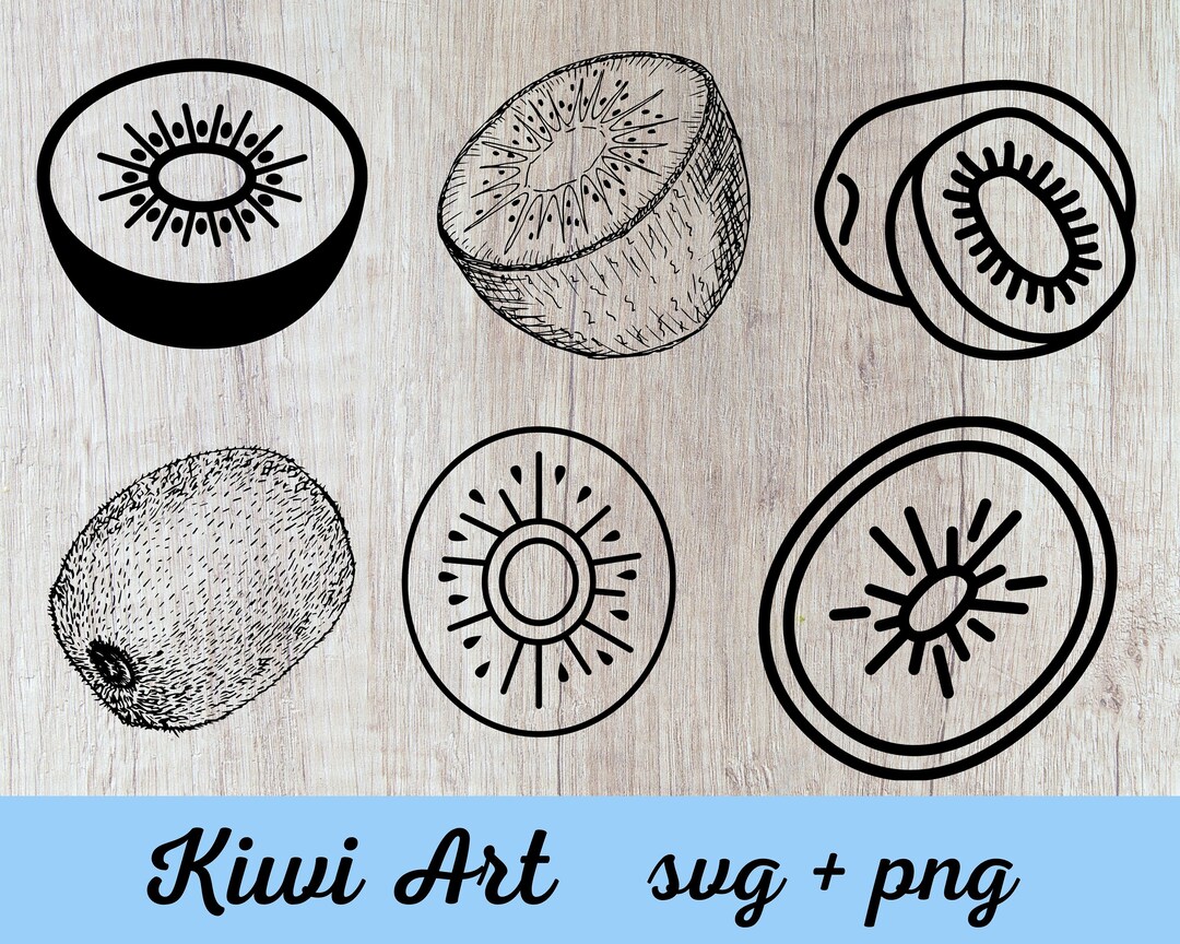 Kiwi SVG, Kiwi Fruit PNG - Etsy