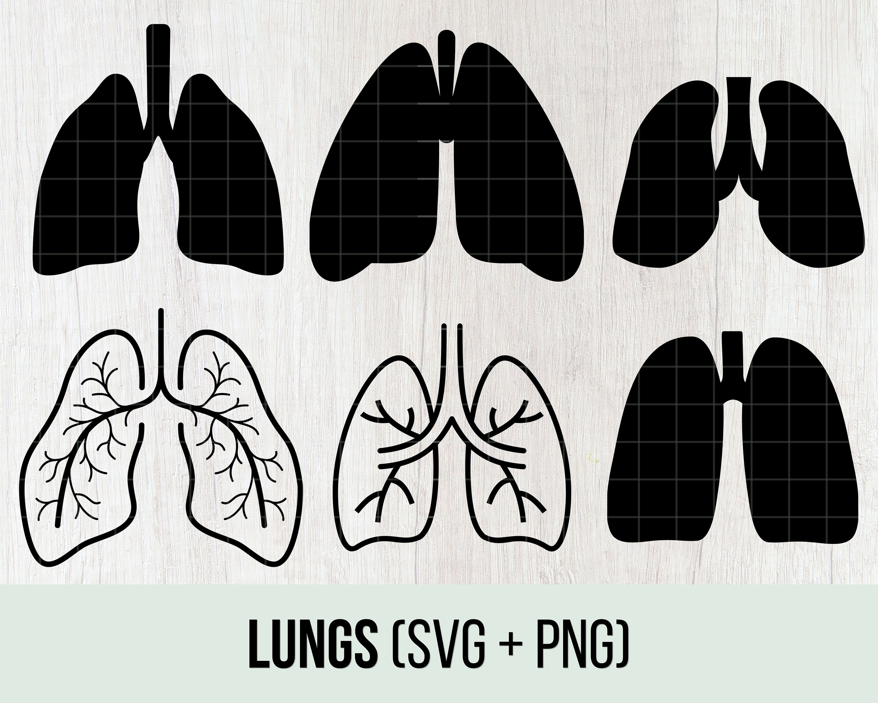 Lungs Svg Lung Svg Lung PNG Lung Clipart VektorDatei - Etsy.de