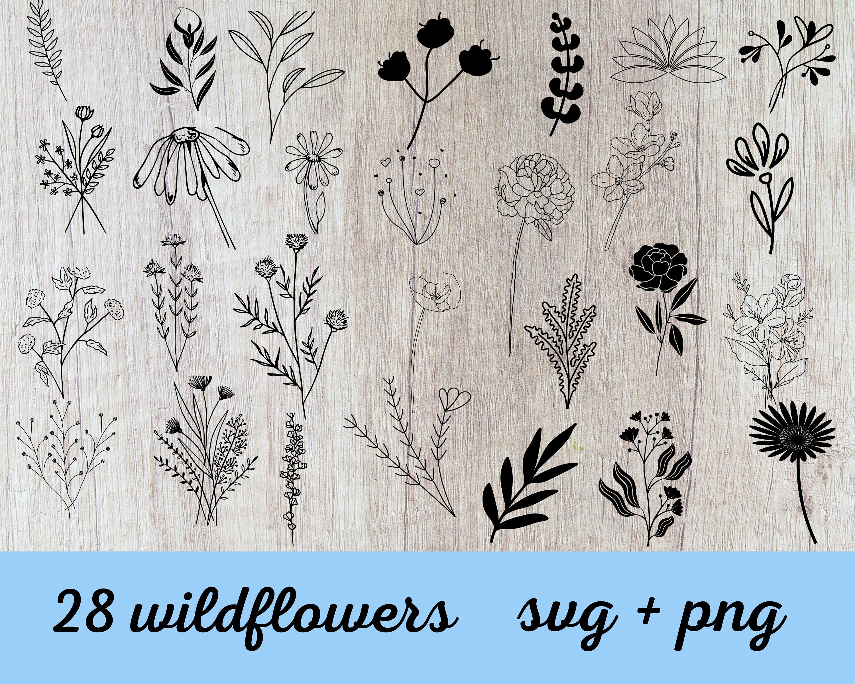Hand Drawn Flower Svg Bundle Floral Svg Bundle Plant Svg - Etsy