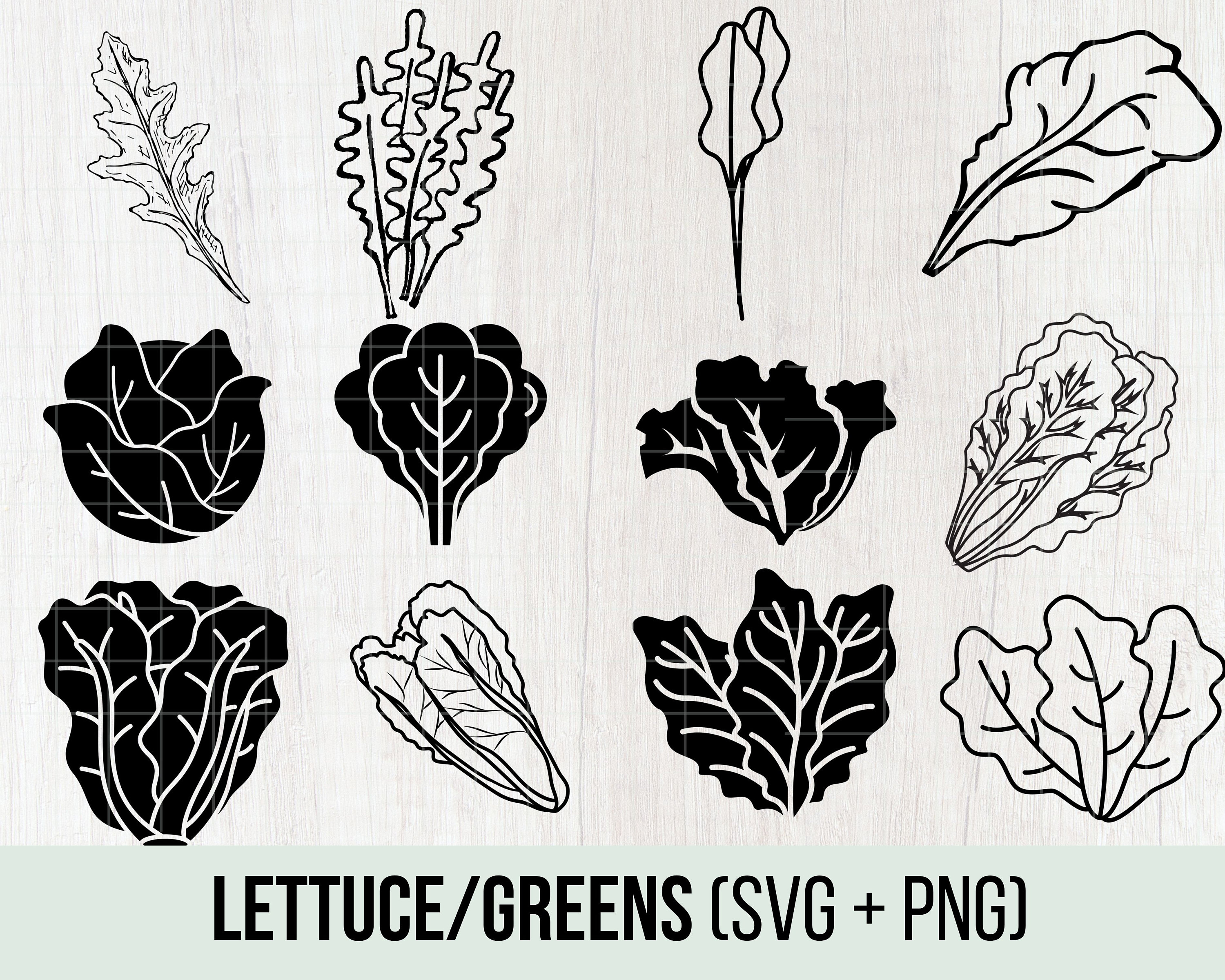 Lettuce Clipart Black And White