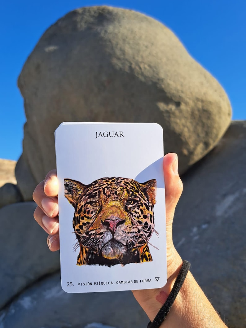 The Ceremonial Power Animals Oracle Cards Vol. II - Deck, Oracle Cards ...