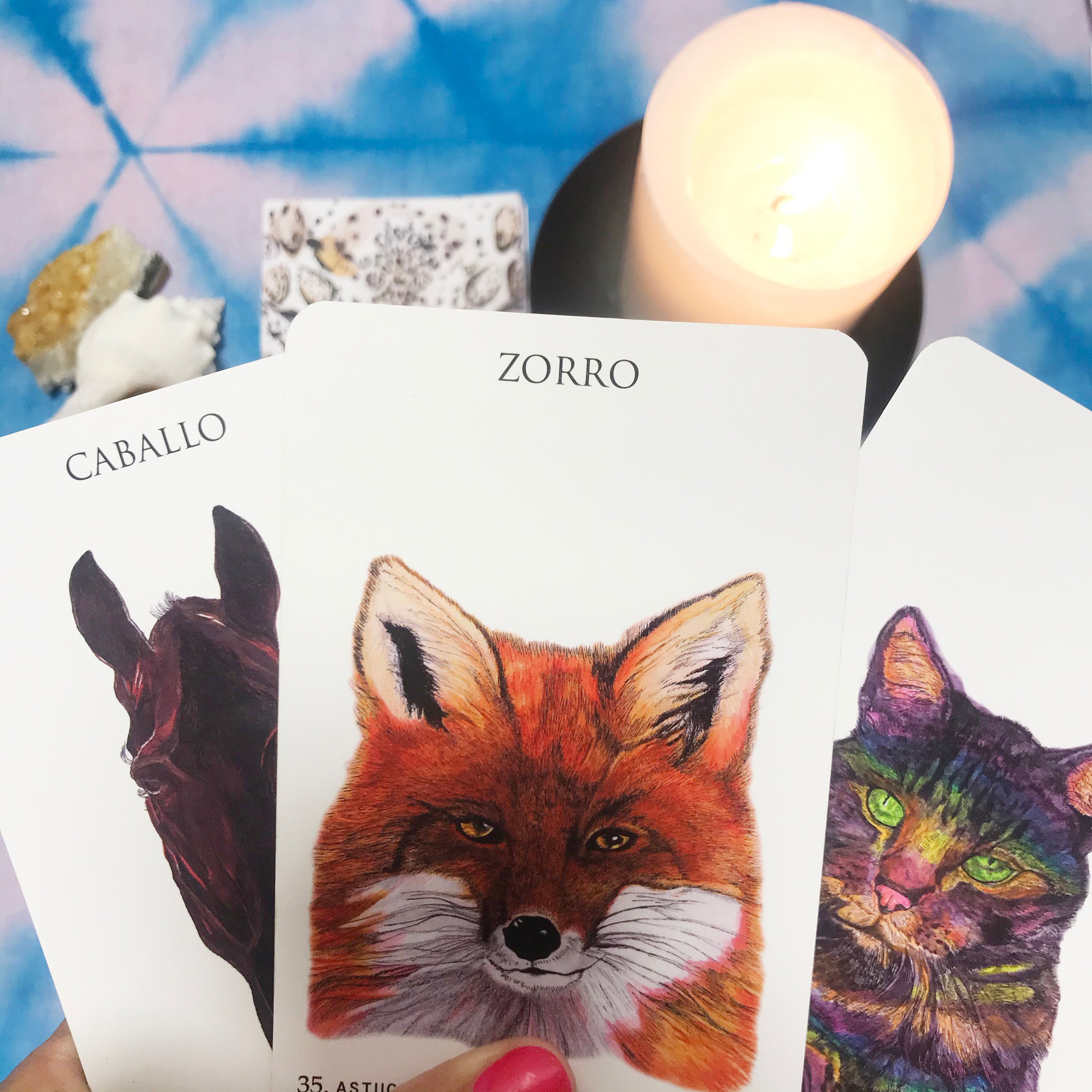 The Ceremonial Power Animals Oracle Cards Vol. II - Deck, Oracle Cards ...