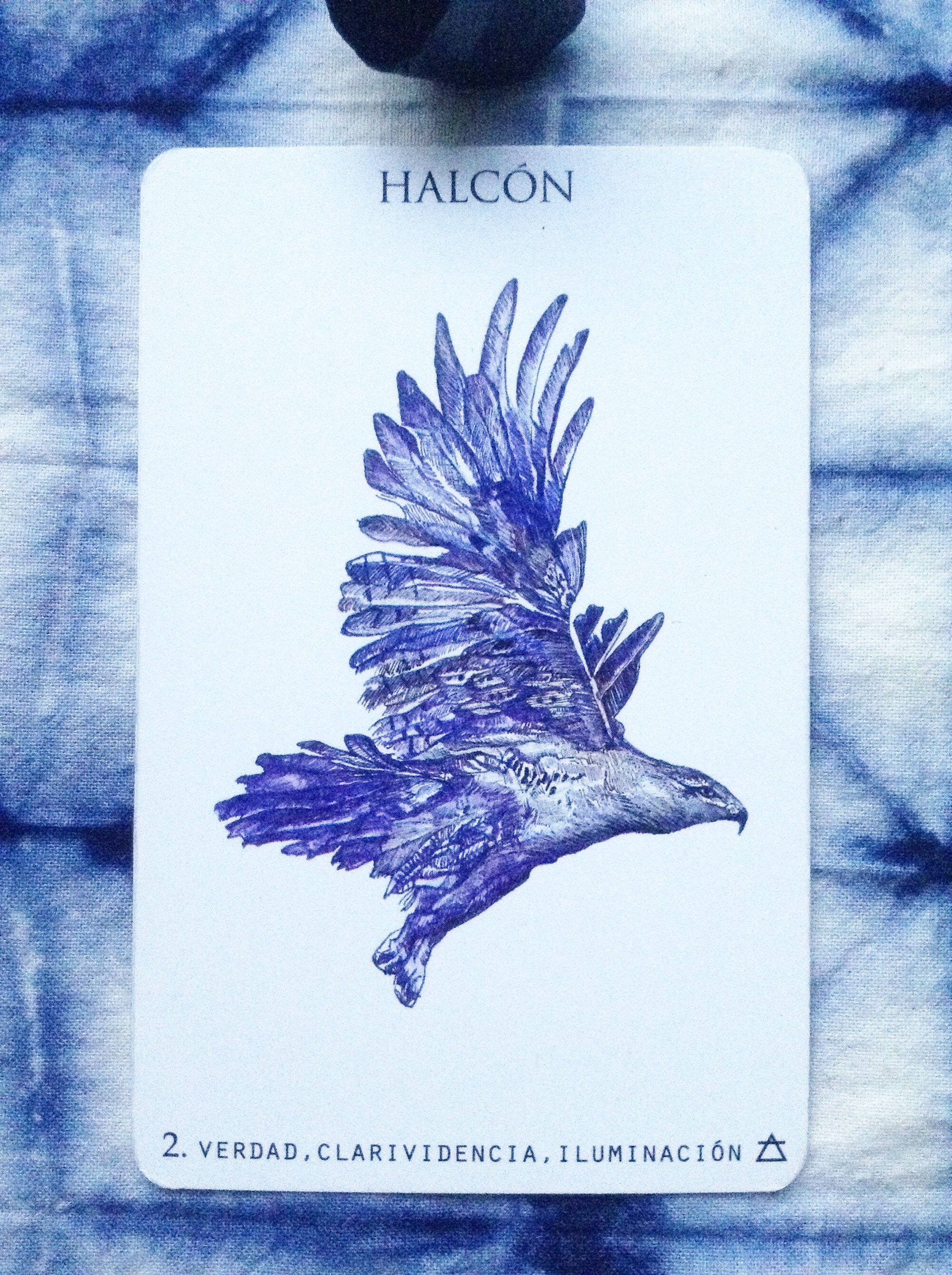 Ceremonial Power Animal Oracle Cards Illustrated Divination Deck ...