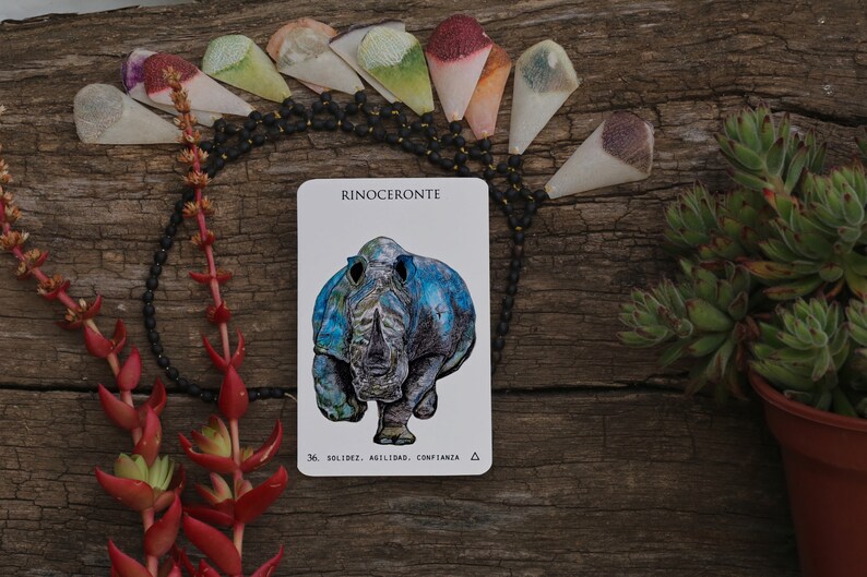 The Ceremonial Power Animals Oracle Cards Vol. II Deck, Oracle Cards ...