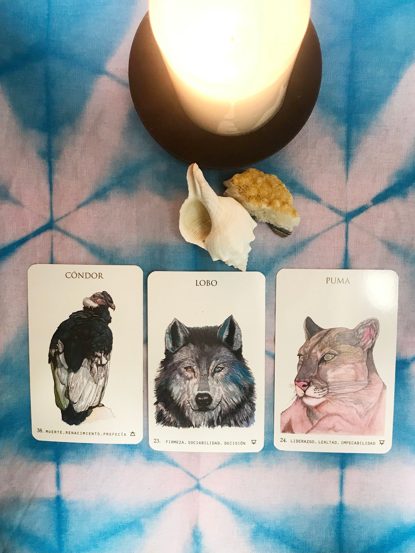 The Ceremonial Power Animals Oracle Cards Vol. II Deck, Oracle Cards ...