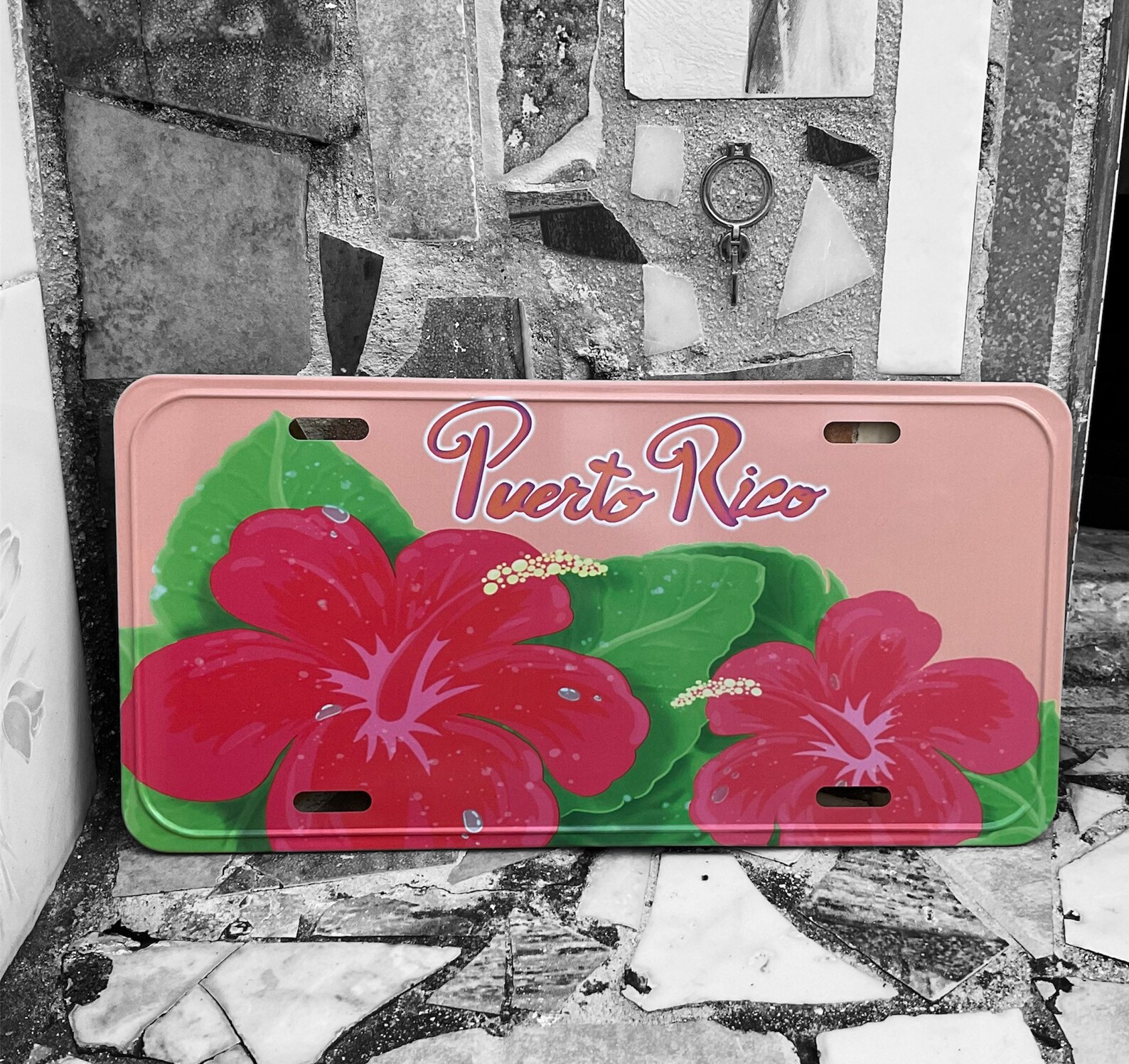 Puerto Rico Car Plate Tablilla De Puerto Rico Placa License - Etsy