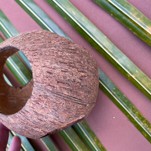 Coconut Toy With 5 Openings for Small Hamsters Reptiles and - Etsy