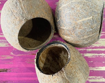 Whole Coconut Shell - Etsy
