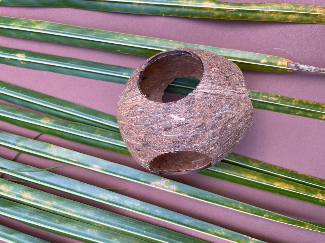 Coconut Toy With 5 Openings for Small Hamsters Reptiles and - Etsy