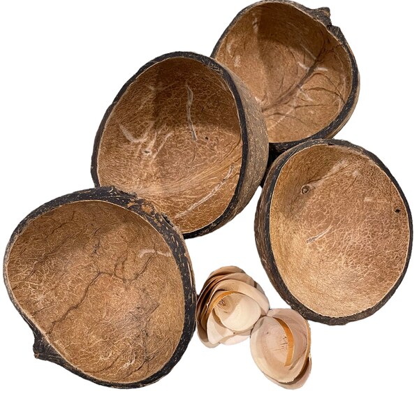 Coconut Shell - Etsy
