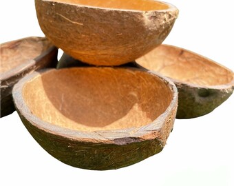 Coconut Shells | Etsy