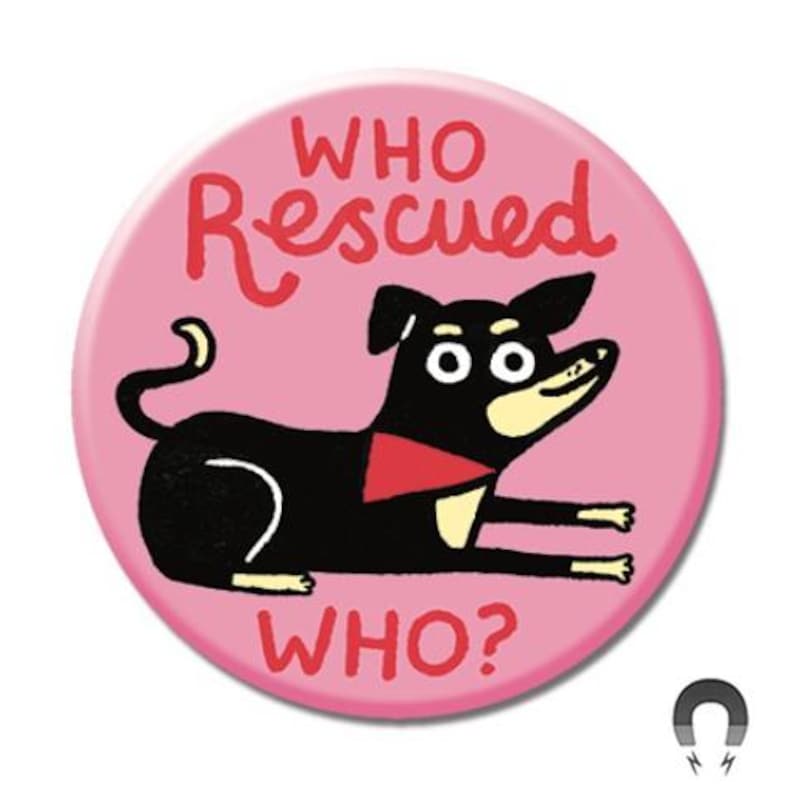 Best-in-show Cute Dog Magnets - Gemma Correll - Etsy