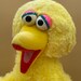 Big Bird Sesame Street 1980s Pull String Toy Does Not Work - Etsy