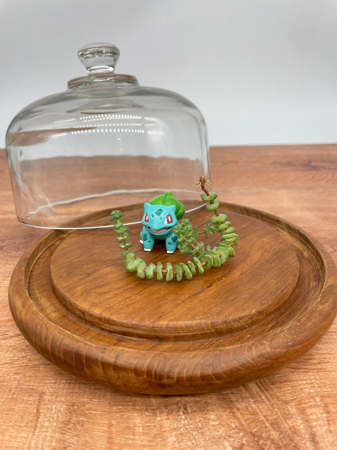 Vintage Tray With Glass Lid Cheese Tray Cake Stand Terrarium Wood Teak ...