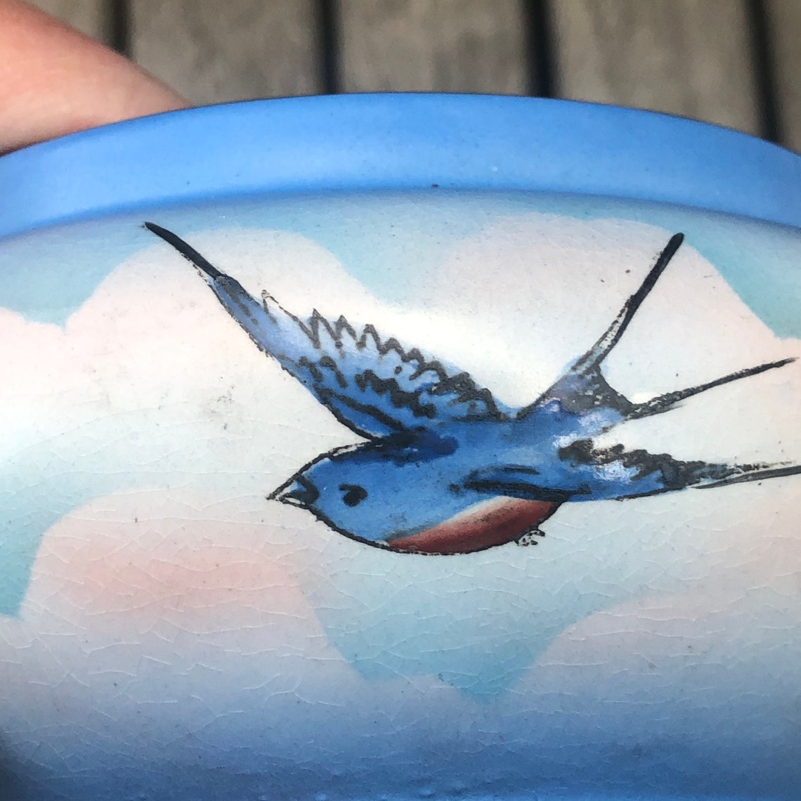 Vintage English Palissy Blue Bird, Early Bird Porcelain Powder Jar - Etsy