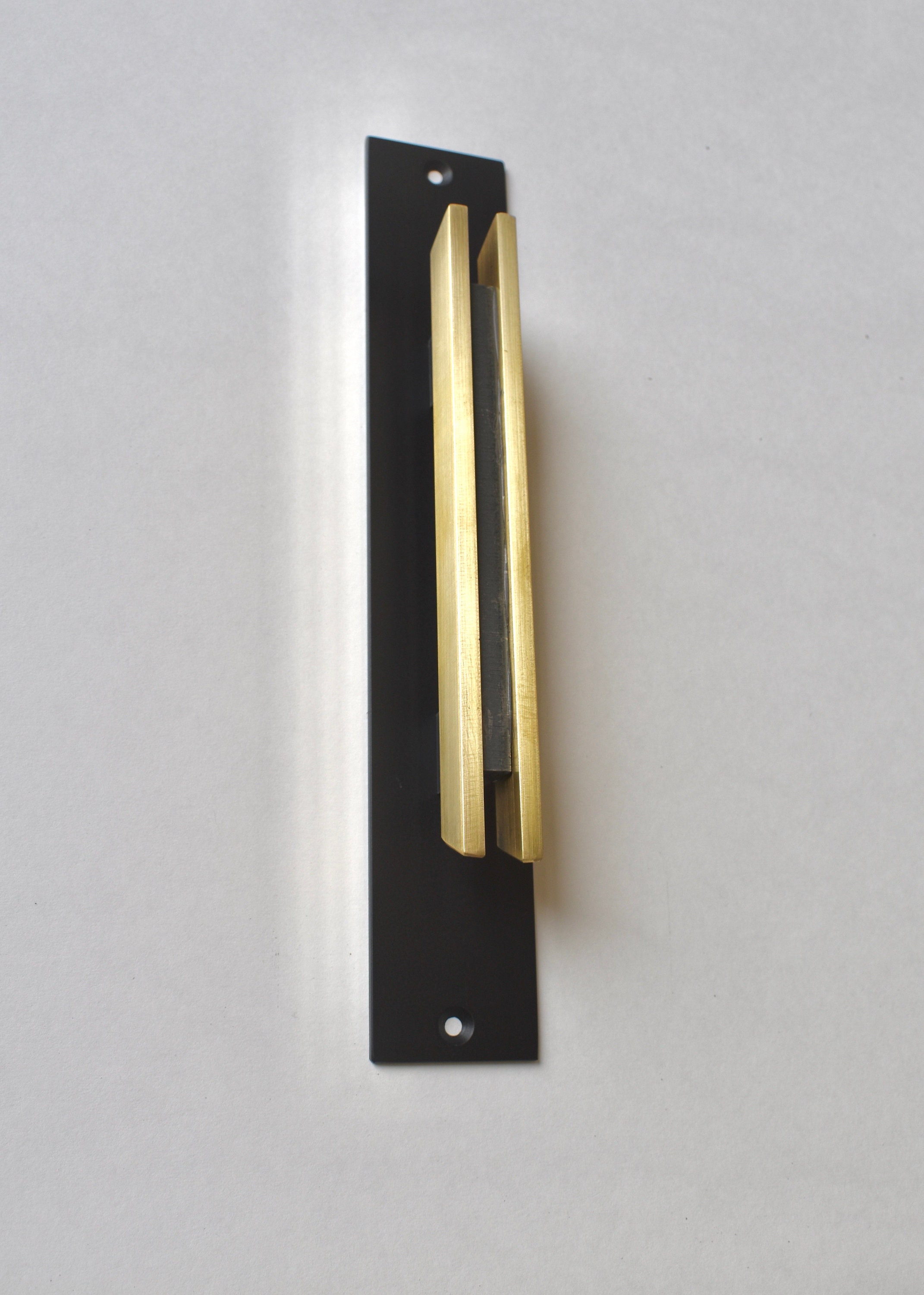 Door Pull Handle Black Steel Backplate and Brass Twin Bar Minimal Door ...